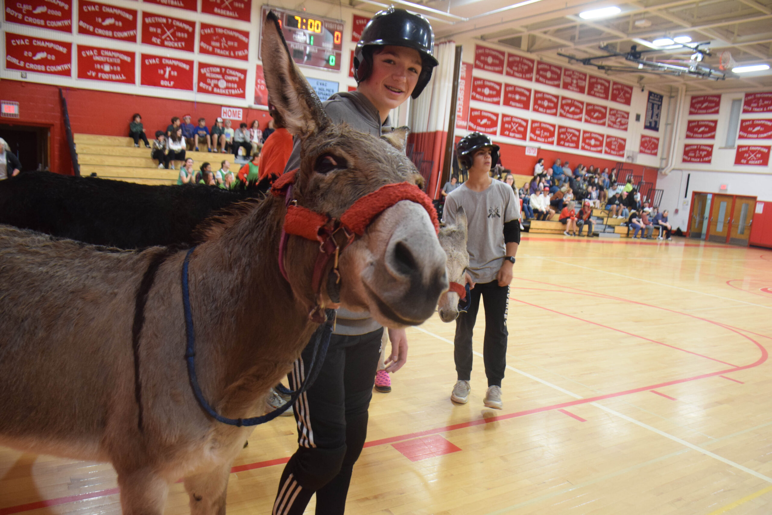 PHOTO: Donkeyball returns | News, Sports, Jobs - Adirondack Daily ...